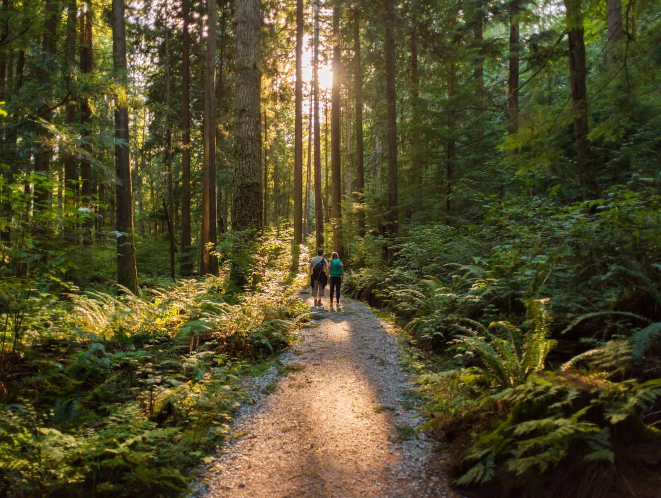 America's Credit Union - Home