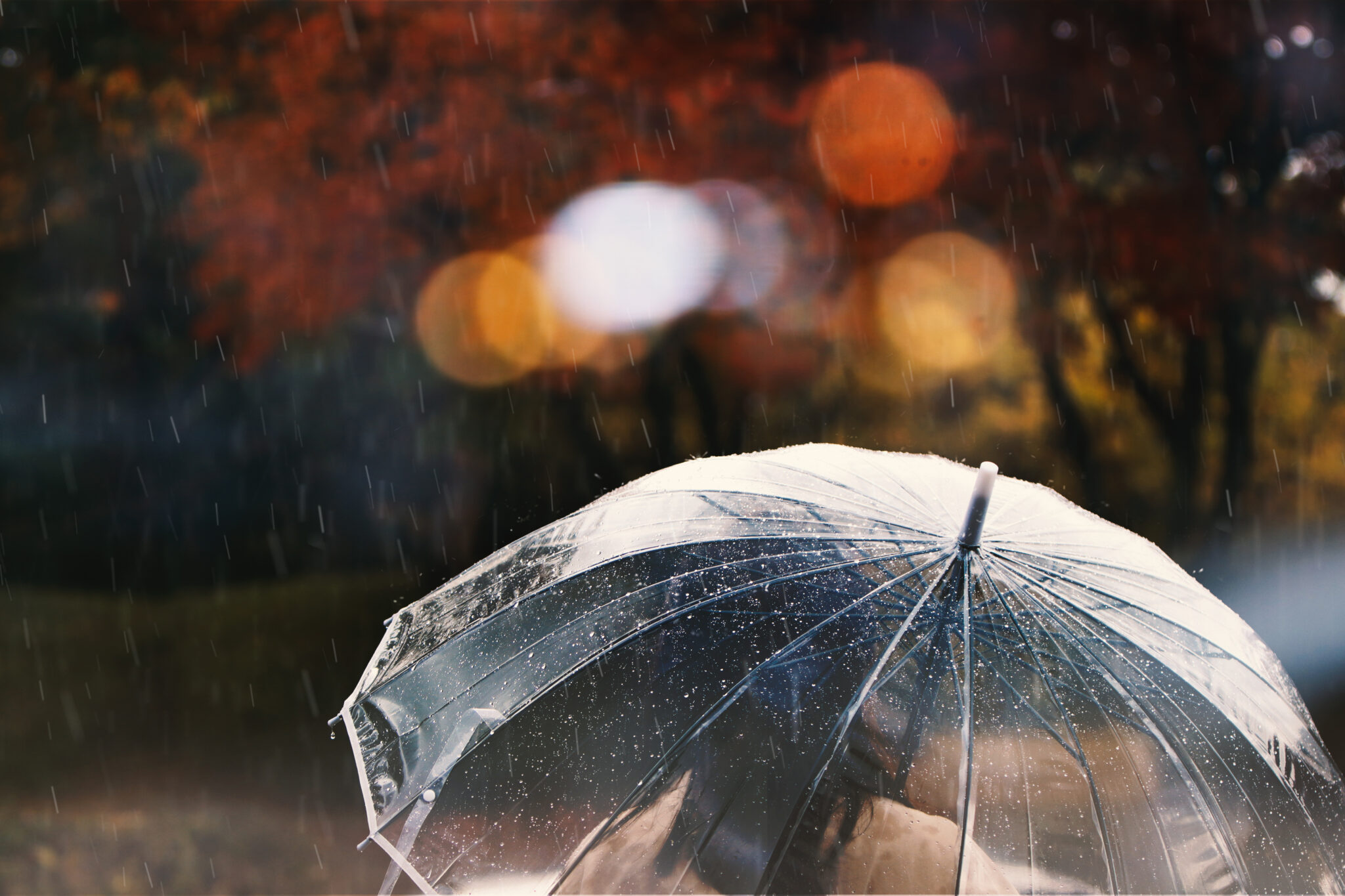 ACU Newsletter: Winter 2025 - America's Credit Union